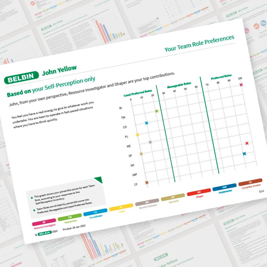 What Are The Nine Belbin Team Roles? - Belbin North America