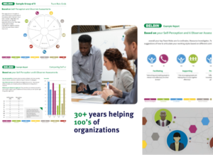 Official Belbin Site For North America - Belbin Team Role and Training
